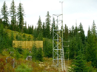 Hj Andrews Experimental Forest Smartforests